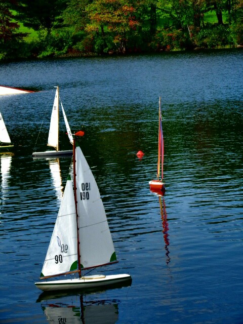 Gallery – Back Bay Skippers