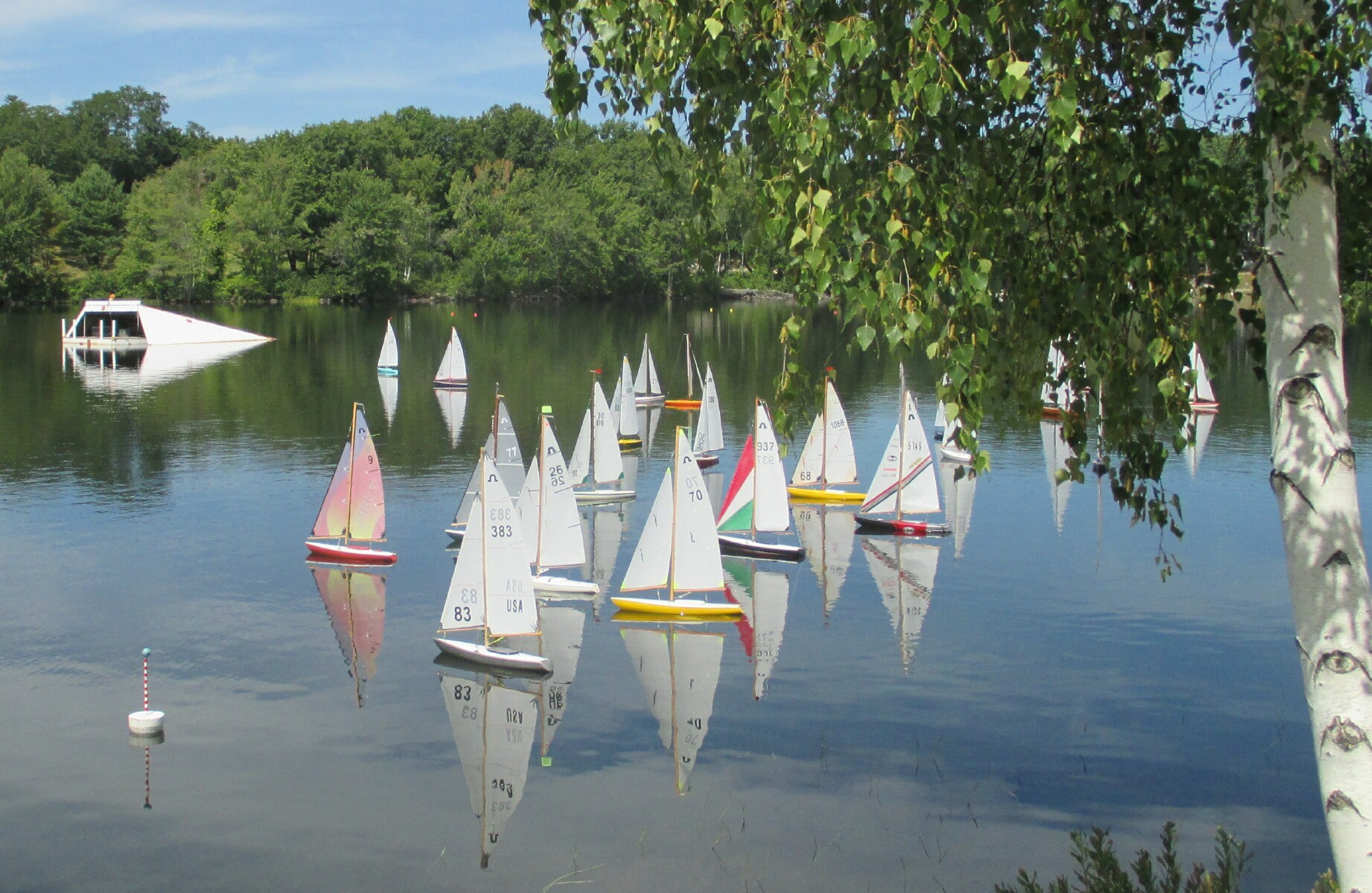 Gallery – Back Bay Skippers