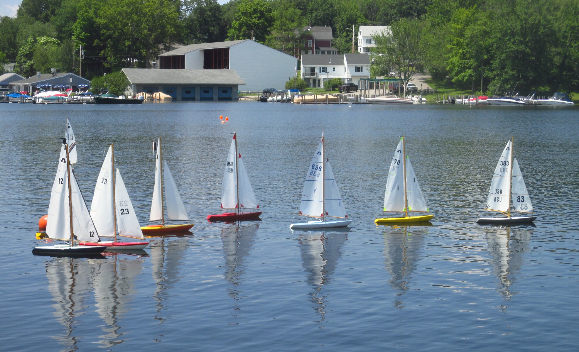 Latest News and Photos – Back Bay Skippers