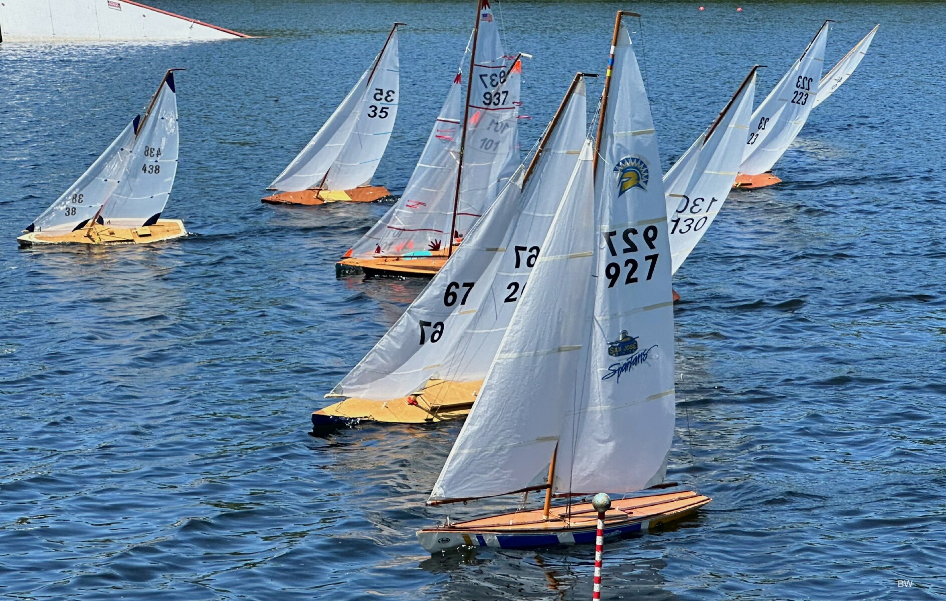 Latest News and Photos – Back Bay Skippers